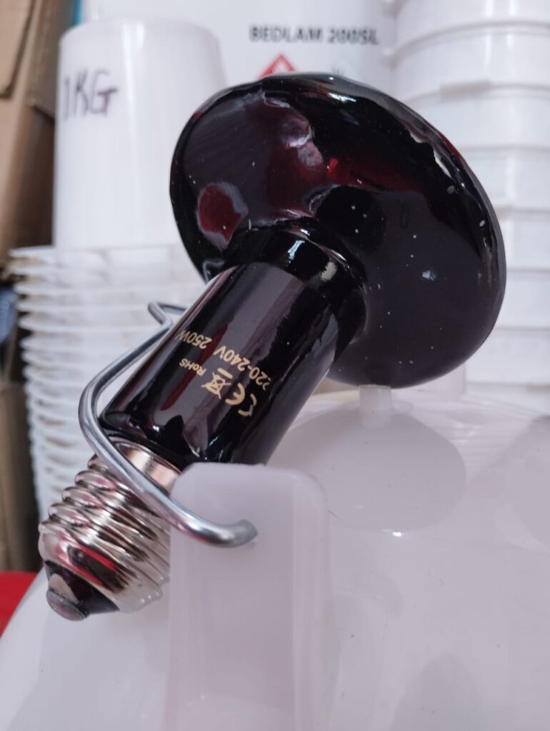 Ceramic Brooding Bulb Now Available for Sale