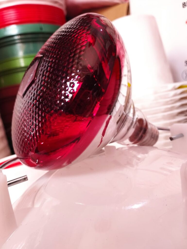 Infrared Brooding Bulb For Sale