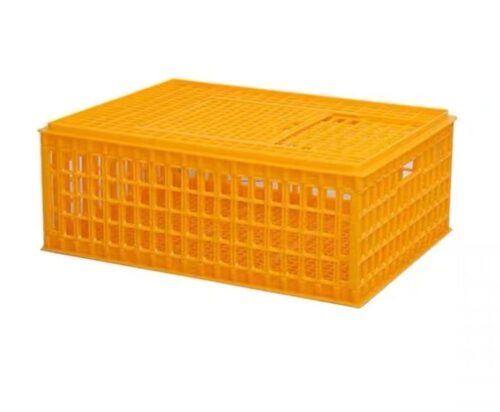 Chicken Transport Crates – Comfortable Poultry Transport